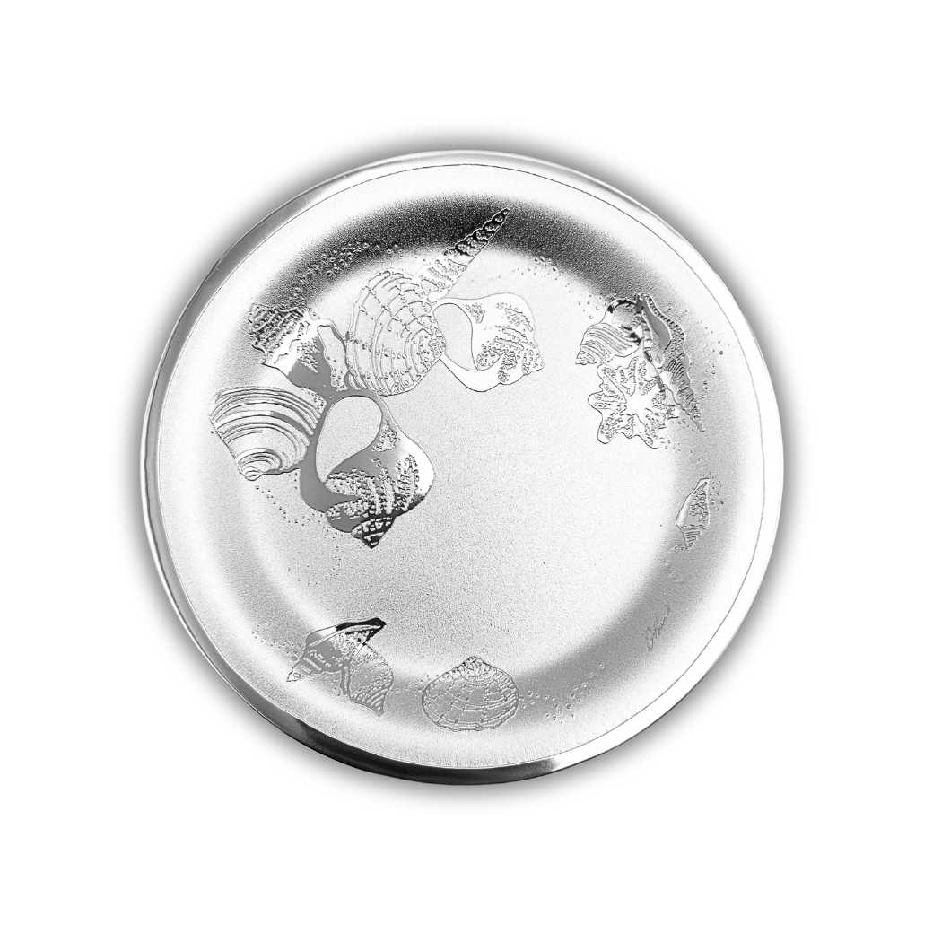 8" Plate - Shell – Don Sheil of Australia
