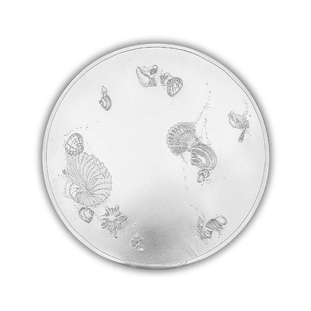 Medium Fruit Platter - Shell – Don Sheil of Australia